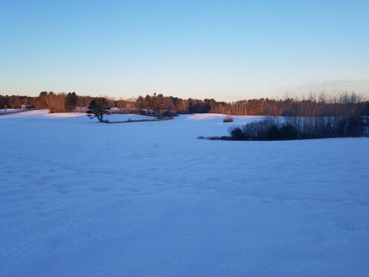 A Solstice Hike at Fuller Farm - Scarborough Land Trust
