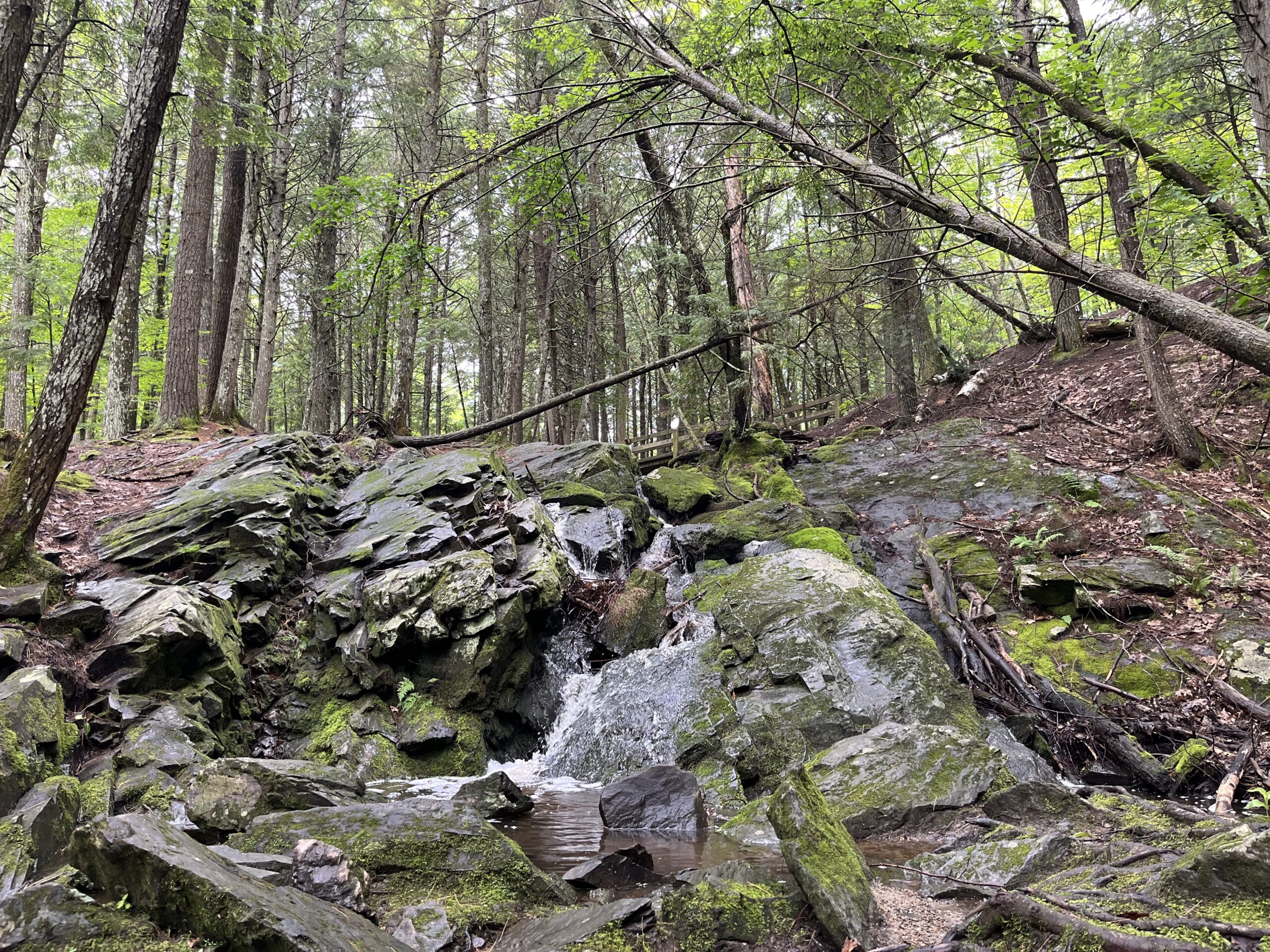 Nature Awareness Walk at Fuller Farm Preserve - Scarborough Land Trust