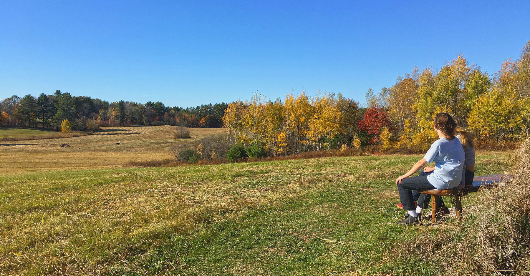 Fuller Farm Preserve - Scarborough Land Trust